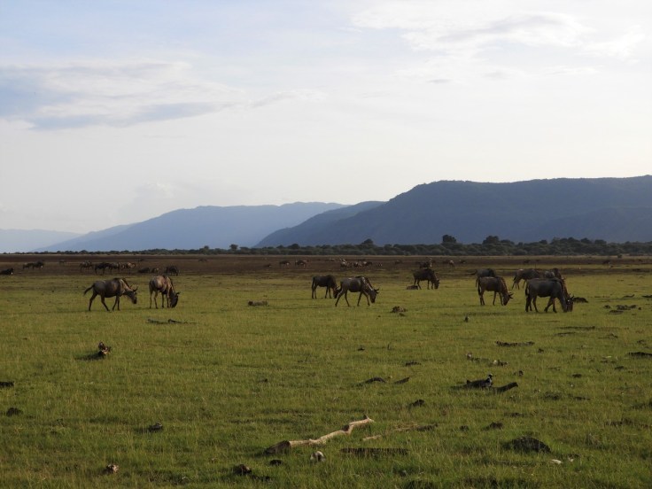 Lake Manyara National Park – Travel the World with Taru